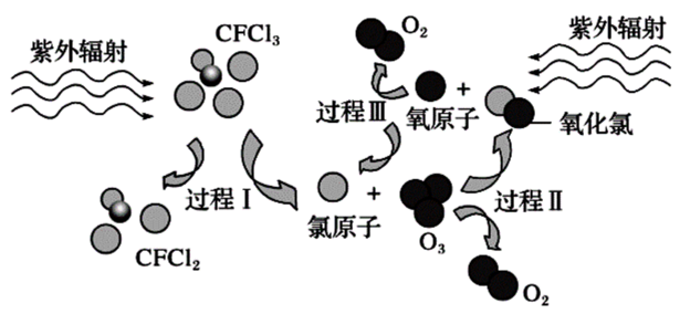 如图为氟利昂(如CFCl3)破坏臭氧层的反应过程示意图,下列说法不正确的是 A. 过程Ⅰ中断裂极性键C—Cl键 B. 过程Ⅲ中O+O ...