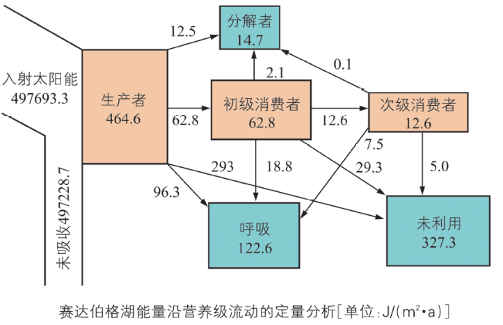 1941年,美国生态学家林德曼对一个天然湖泊——赛达伯格湖进行了野外调查和研究,并对能量流动进行了定量分析,得出了下图所示的数据。下列叙述正确 ...