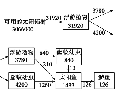 【题目】 下图为某人工鱼塘食物网及其能量传递示意图（图中数字为能量数值，单位是J.m -2 .a -1 ）。下列叙述正确的是（ ） _百度教育