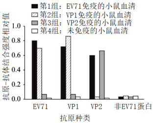 EV71是引发手足口病的一种人肠道病毒。为制备抗EV71的单克隆抗体，科研人员用小鼠进行实验。将EV71灭活病毒、EV71外壳蛋白VP1和 ...