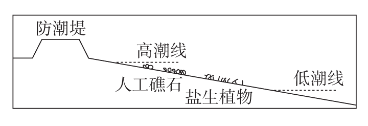 政府有关部门在沿海滩涂上放置人工礁石,引种盐生植物(见图),其目的主要是( ) A. 保护海岸,净化海水 B. 恢复生态,美化环境 C. 增加 ...