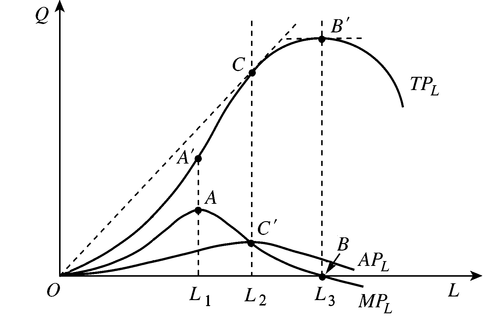 用图说明短期生产函数的TPL曲线、APL曲线和MPL曲线的特征及其相互之间的关系。_百度教育